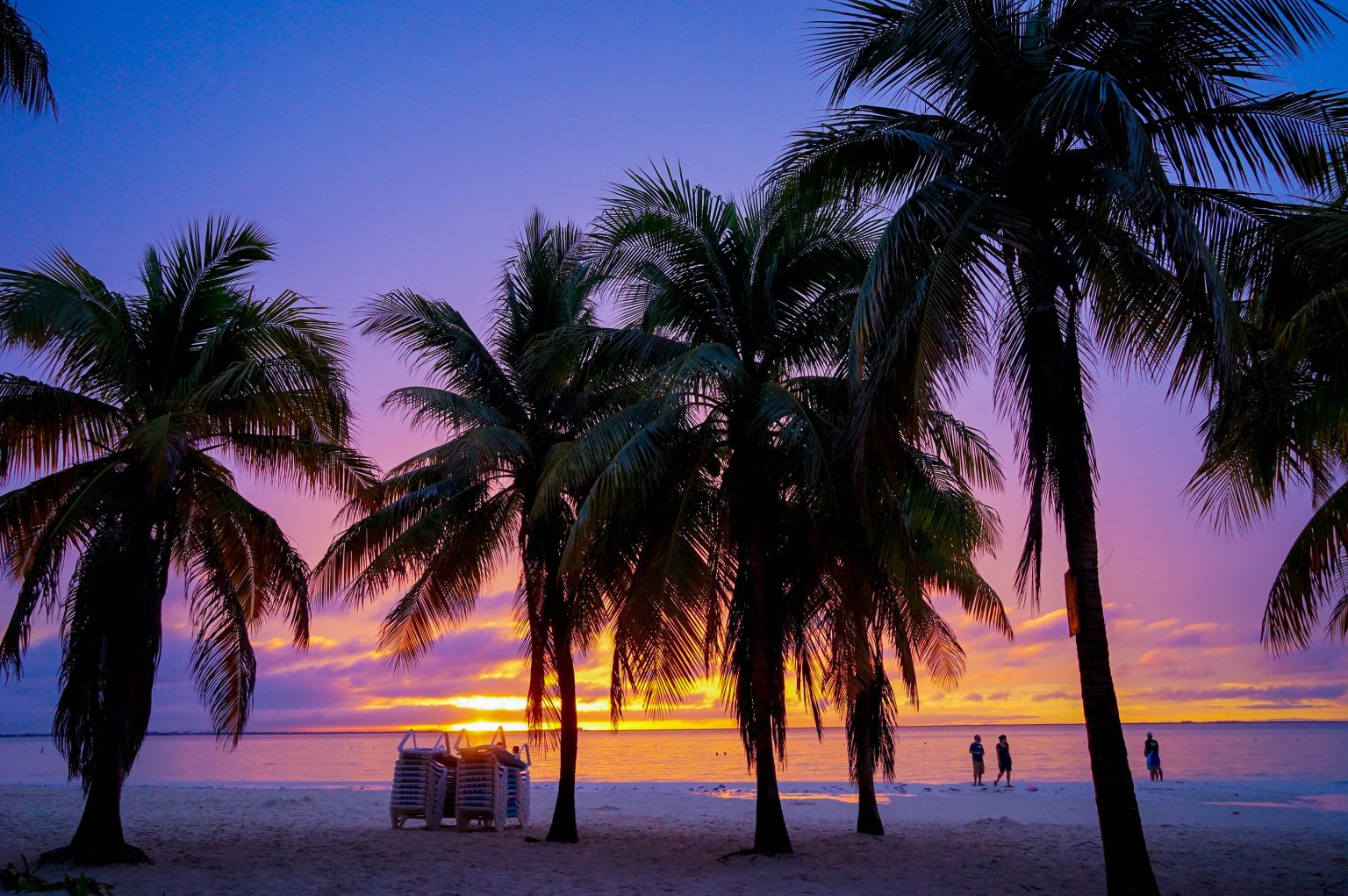 Organization – IIAI AAI 2025-Winter